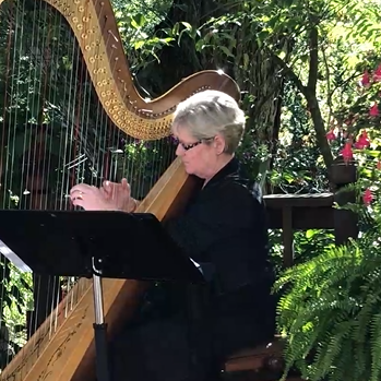 Video Gallery – Debbie Beck