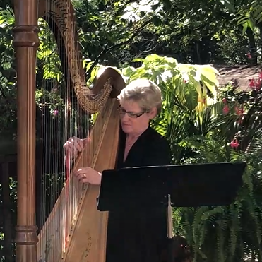 Video Gallery – Debbie Beck